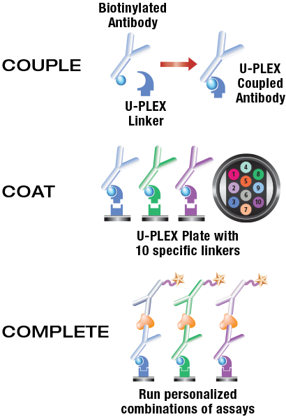 U-PLEX Technology | Meso Scale Discovery